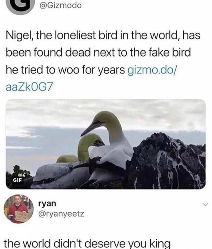 RIP Nigel - 9GAG