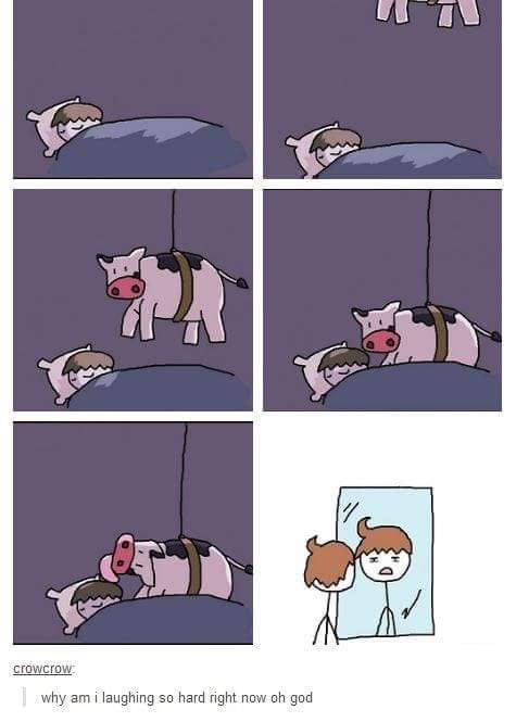 Cow lick - 9GAG