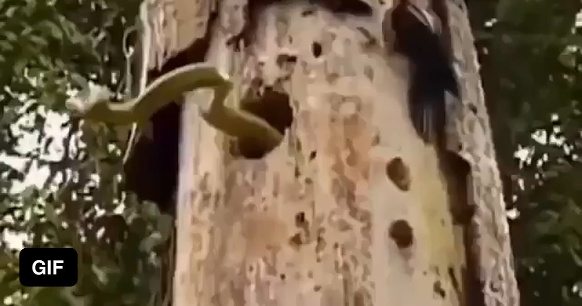 Excuse me that's my hole - 9GAG