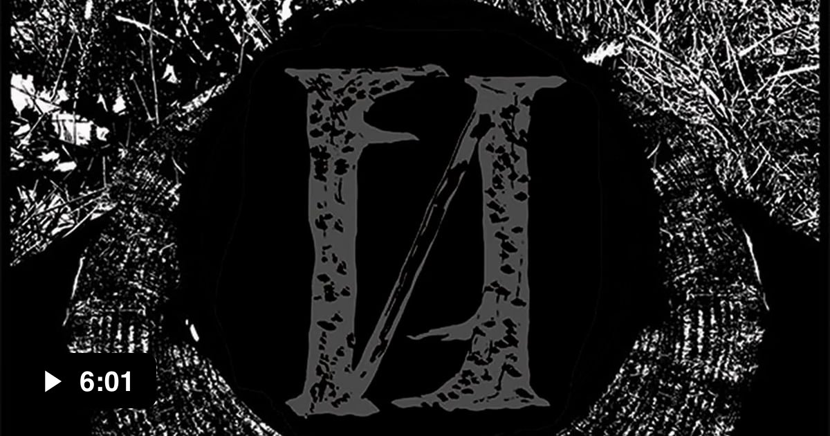 Amazing band from US created by 2 dudes also members of bands like ...