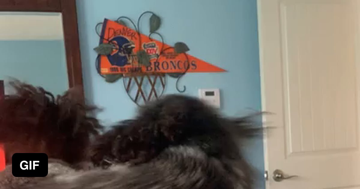 Maybe Some Day She’ll Catch It - 9GAG