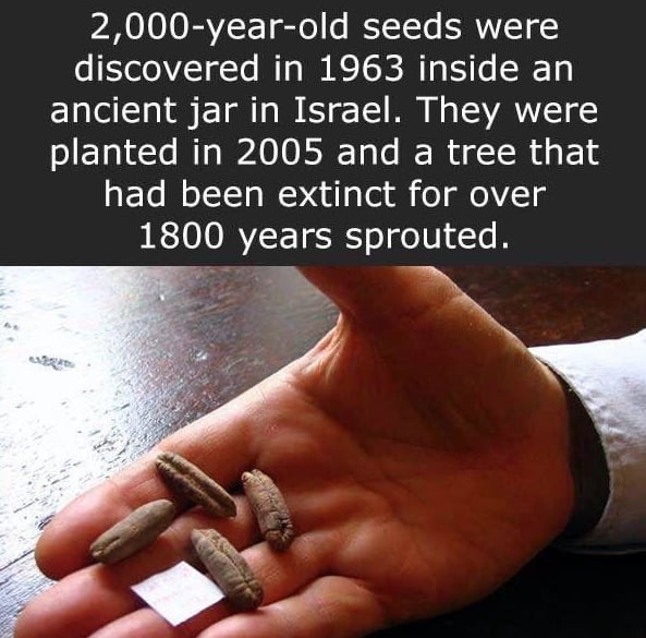 2000-year-old seeds! - 9GAG