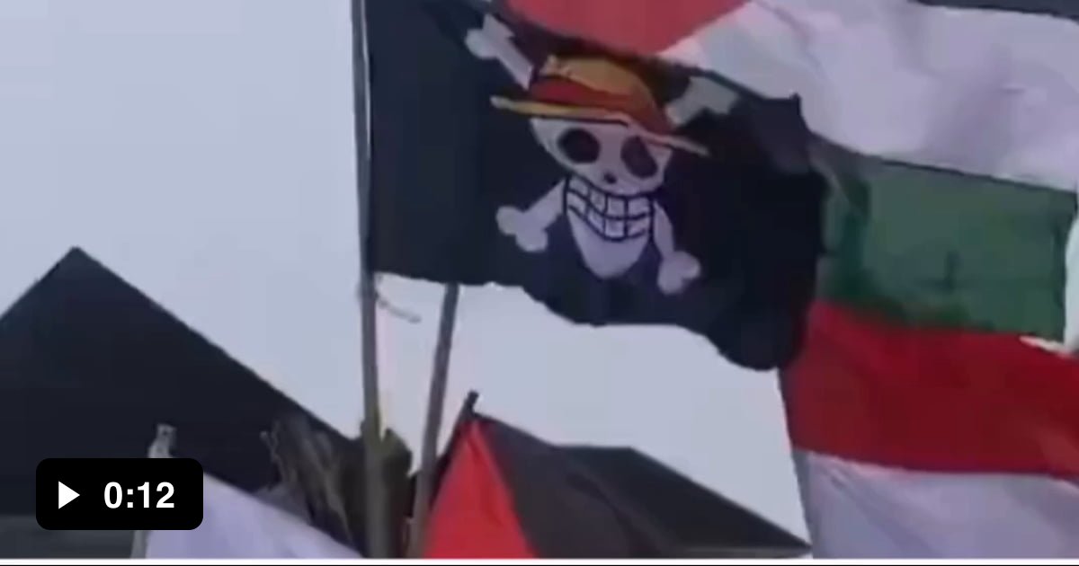Someone brought Onepiece flag in Palestine protest!! - 9GAG