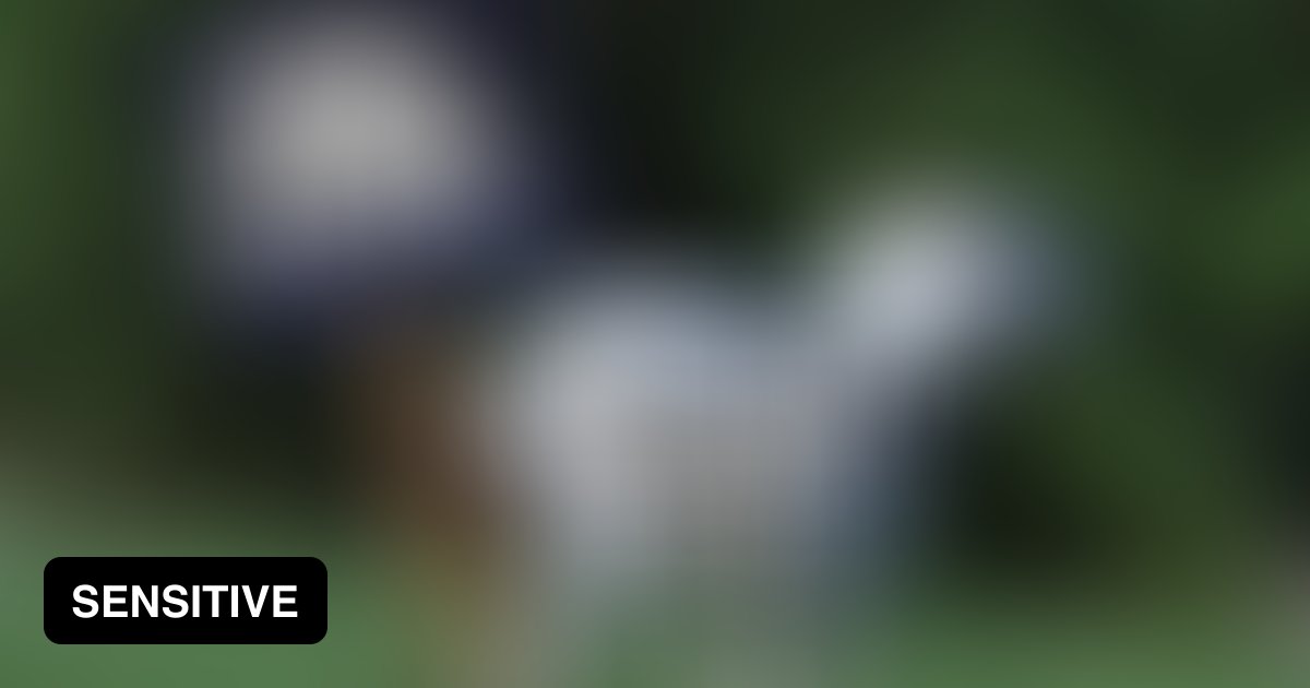 "C'mon, pee on me some more, Papi." - 9GAG