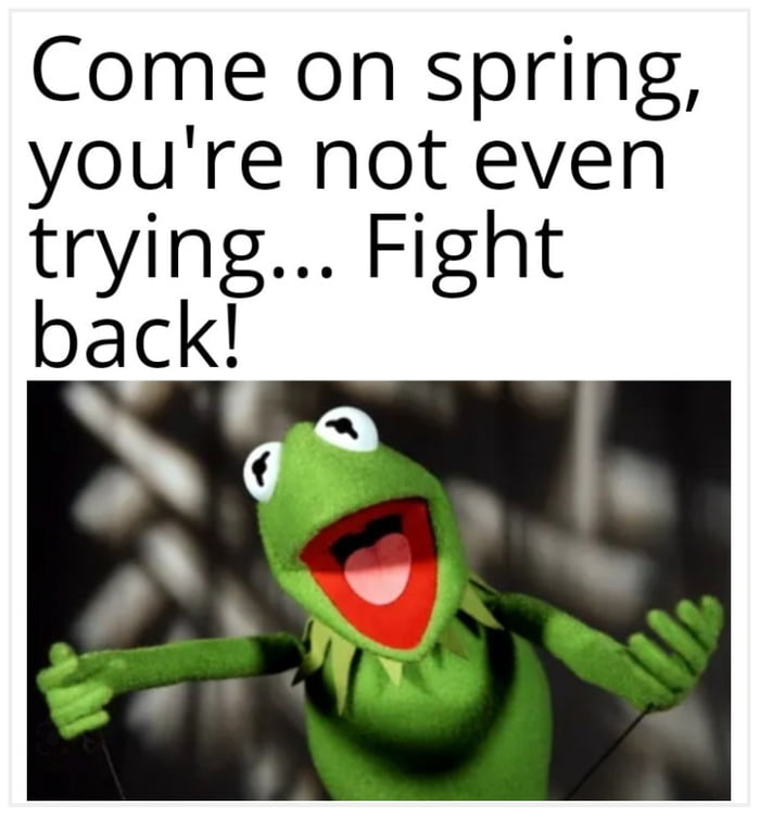 Spring humor - 9GAG