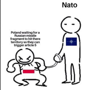Share you best Poland / NATO'S article 5 meme - 9GAG