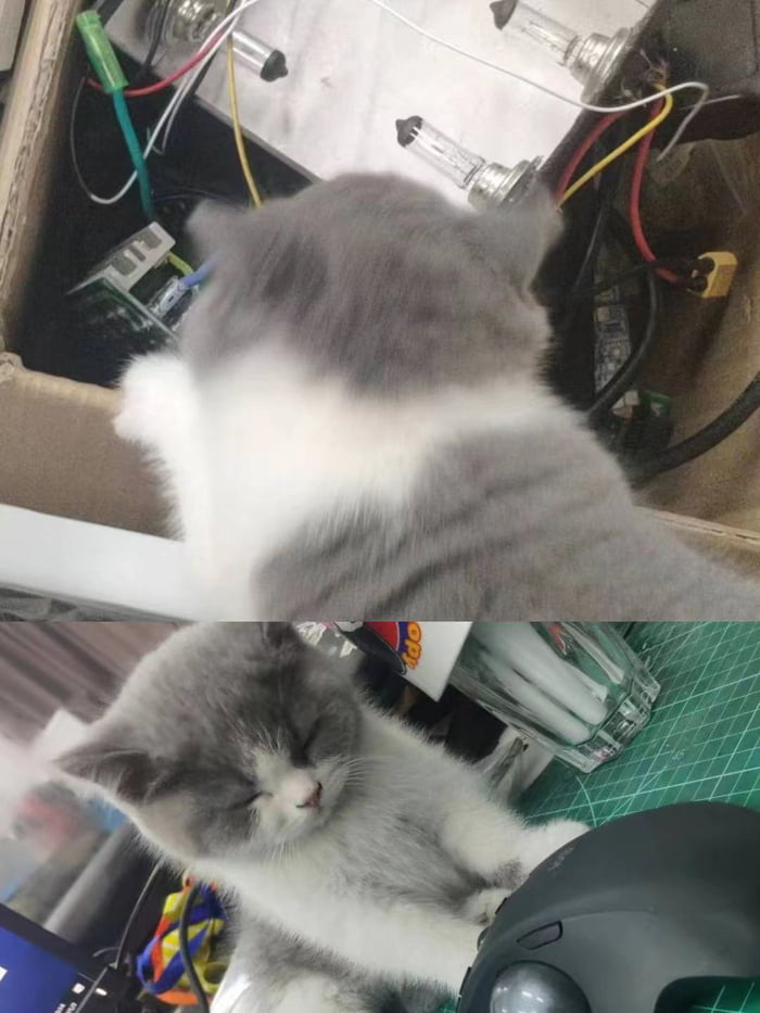 Engineer Cat fell asleep at his desk after finishing his day's work. - 9GAG
