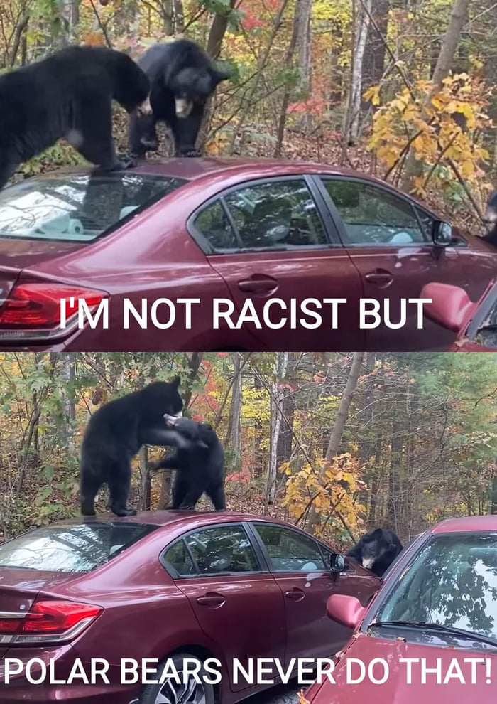 It's always them - 9GAG