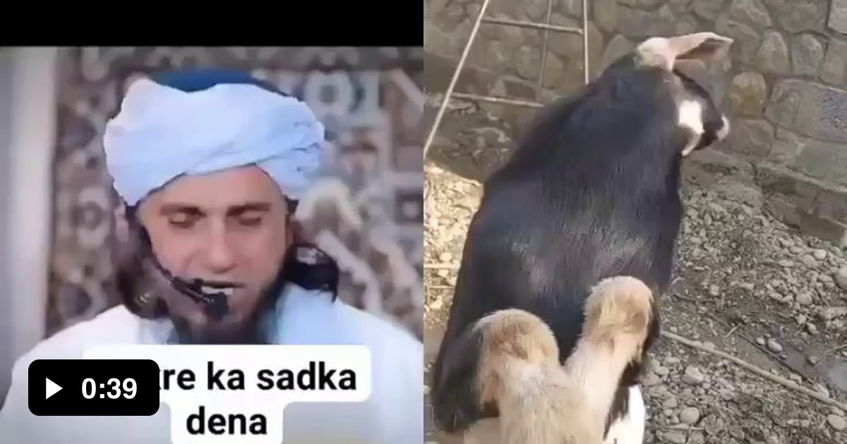 Bakra bakra har koi kehta - 9GAG