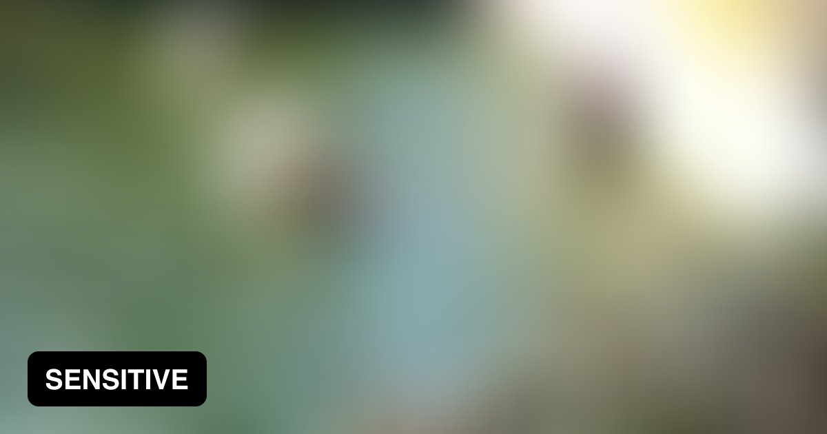 How about a swim session? - 9GAG