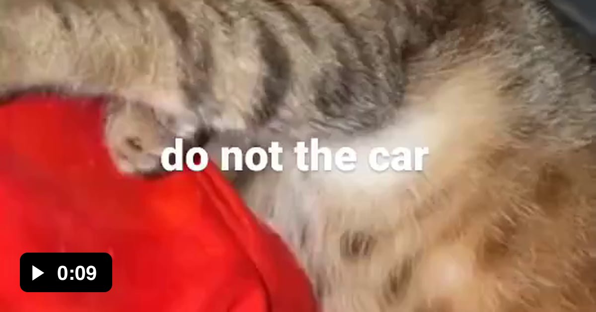 Pls, do not the car - 9GAG