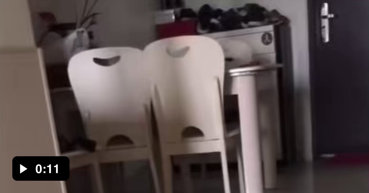 Typical orange cat - 9GAG