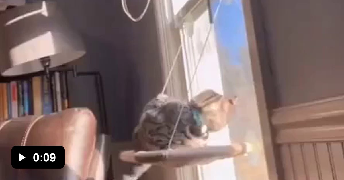 Self-destruct mode activated. - 9GAG