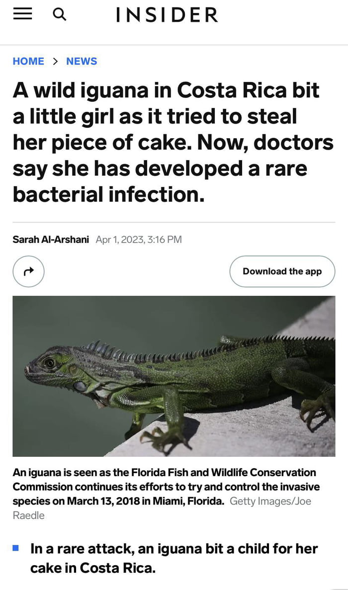 It succeeded in procuring the cake - 9GAG