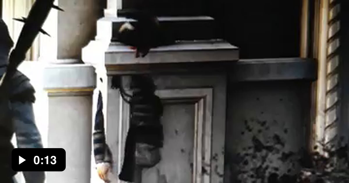 Guard guarding the wall - 9GAG