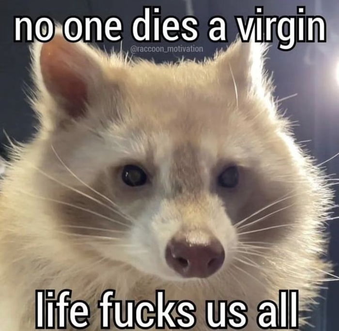 Are we really virgins at this point? - 9GAG