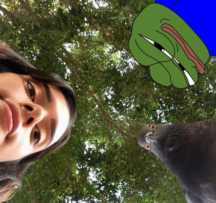 Are you ok fren? - 9GAG