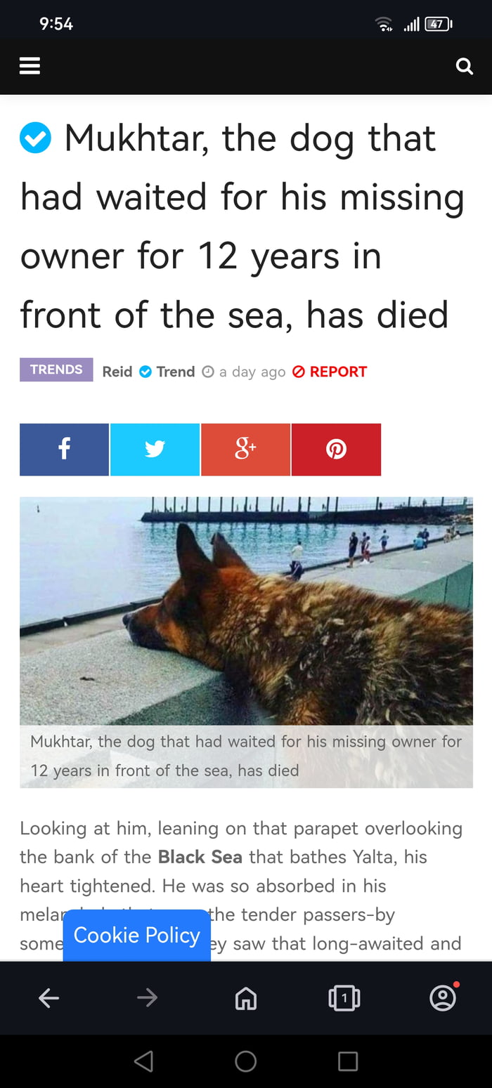 RIP in peace good boy - 9GAG