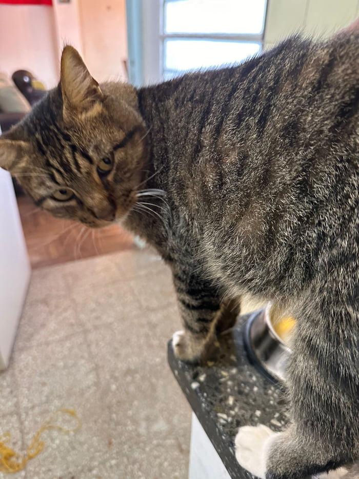 Just give me chicken Karen... - 9GAG