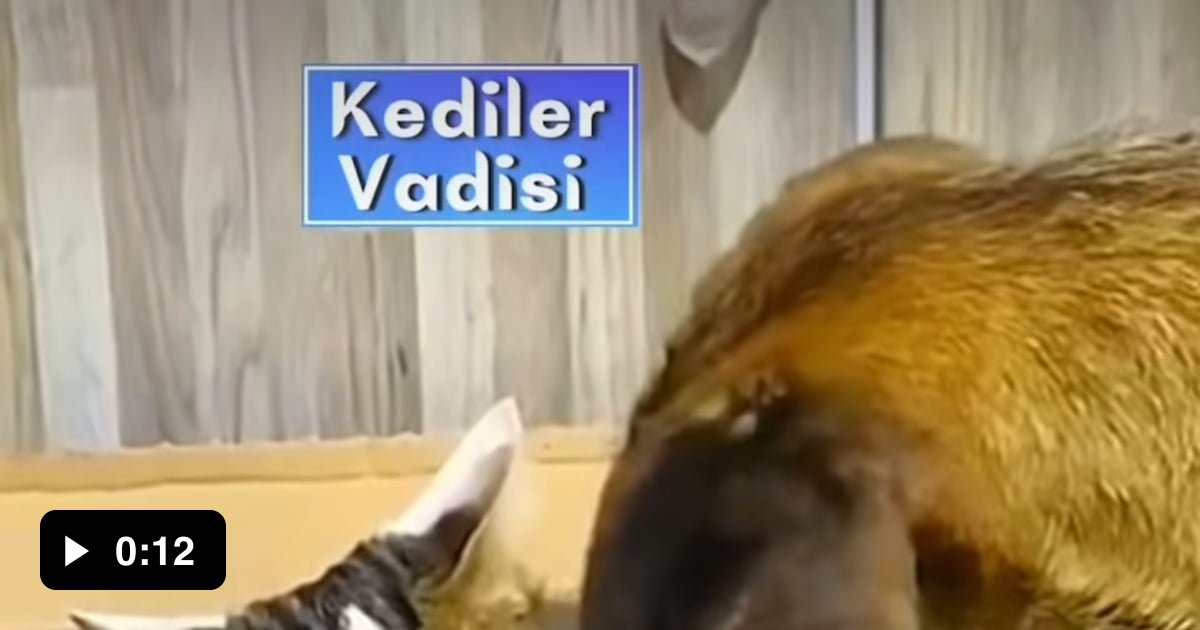 One wrong move and you are finished. - 9GAG