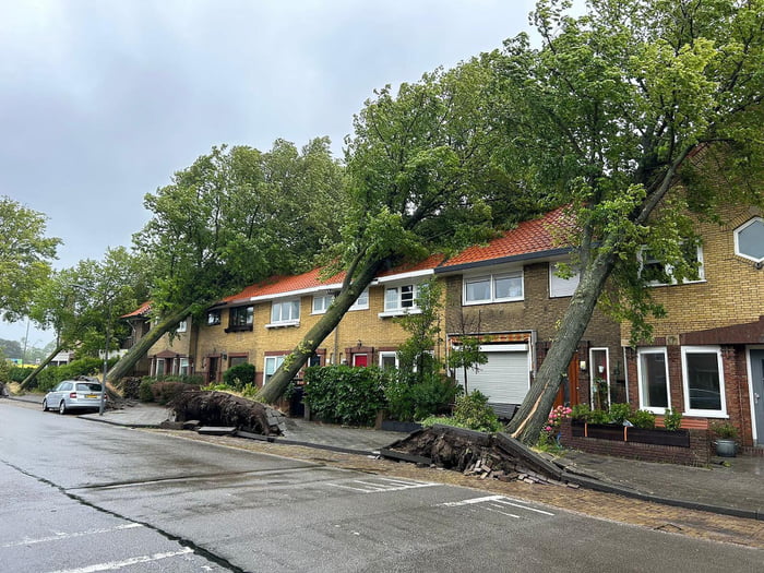Even in catastrophic storm conditions, the Dutch remain neat and ...