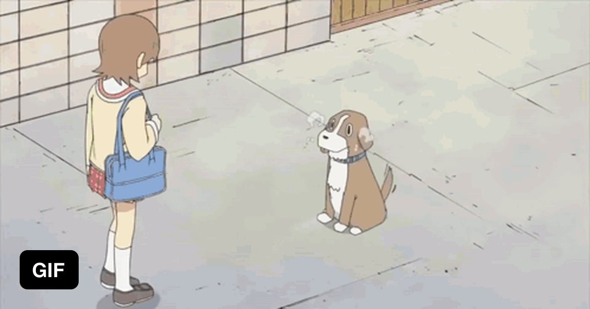 What a nice dog - 9GAG