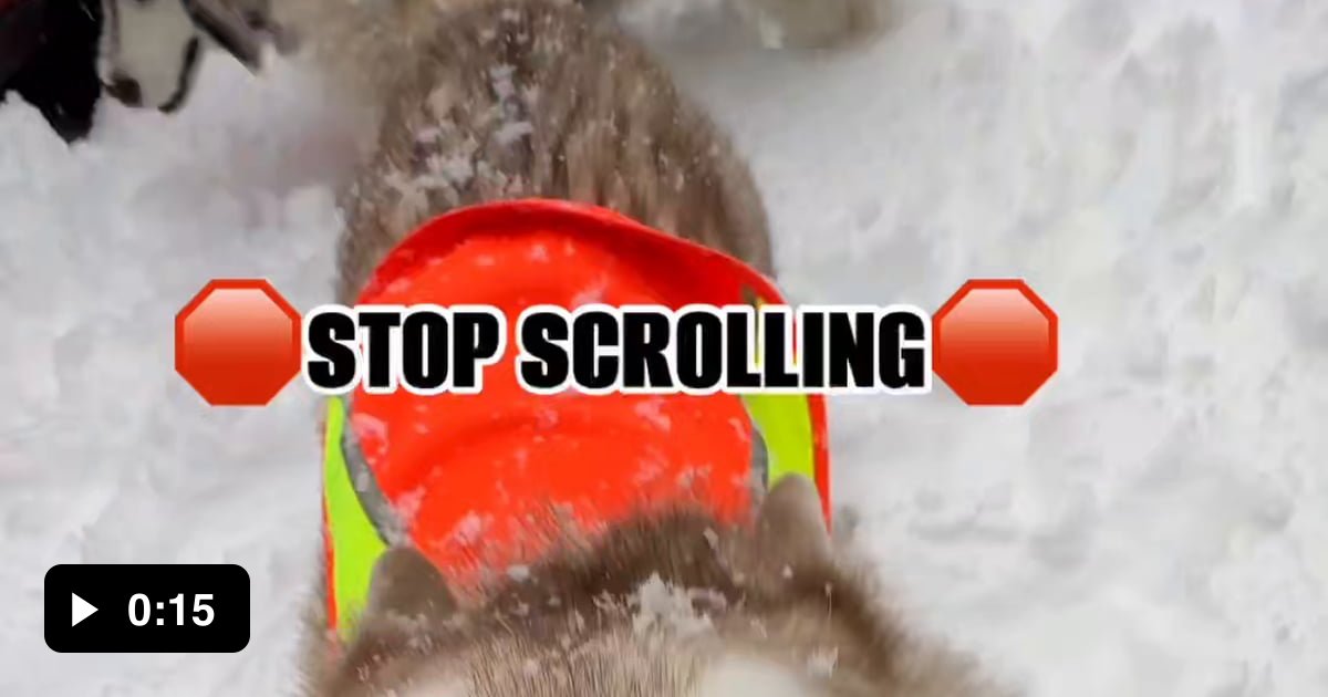 STOP scrolling! It's time for sniffspection - 9GAG