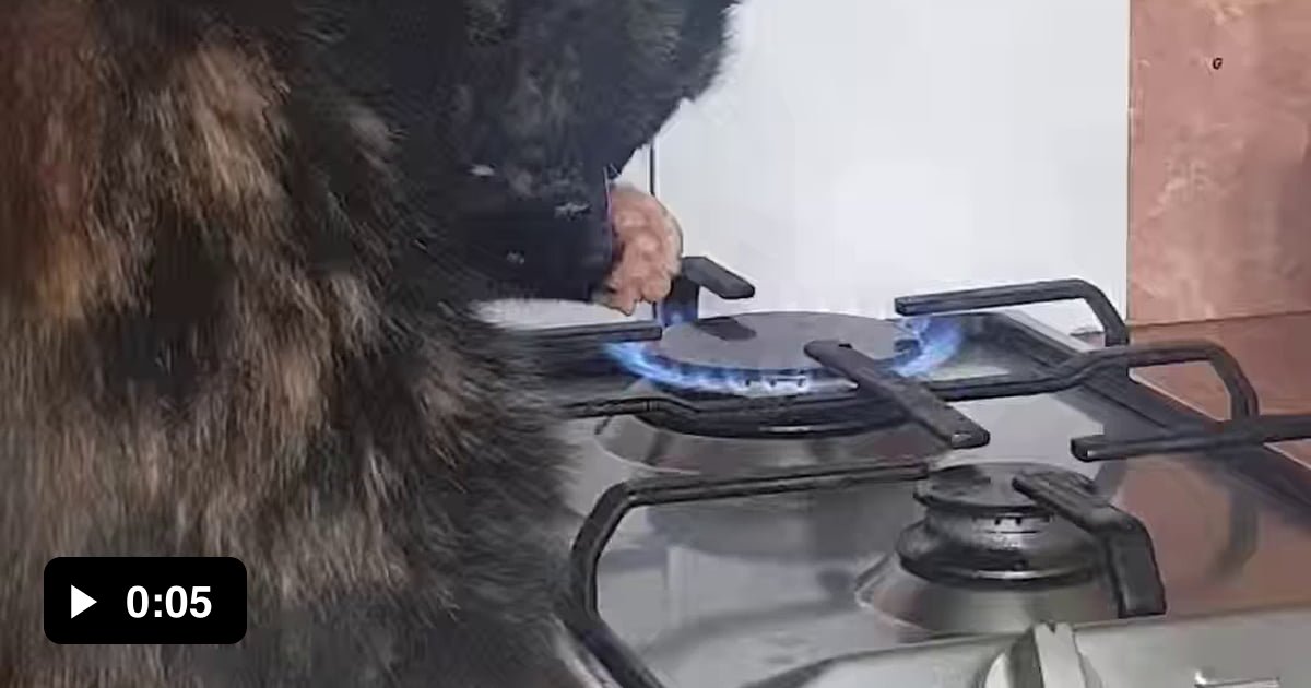 Mmm, So Tasty! - 9GAG