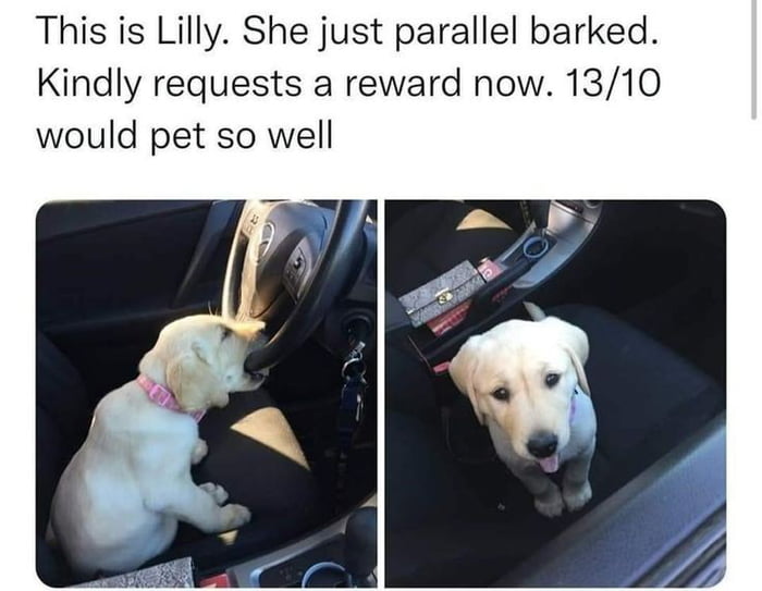Silly Lilly... - 9GAG