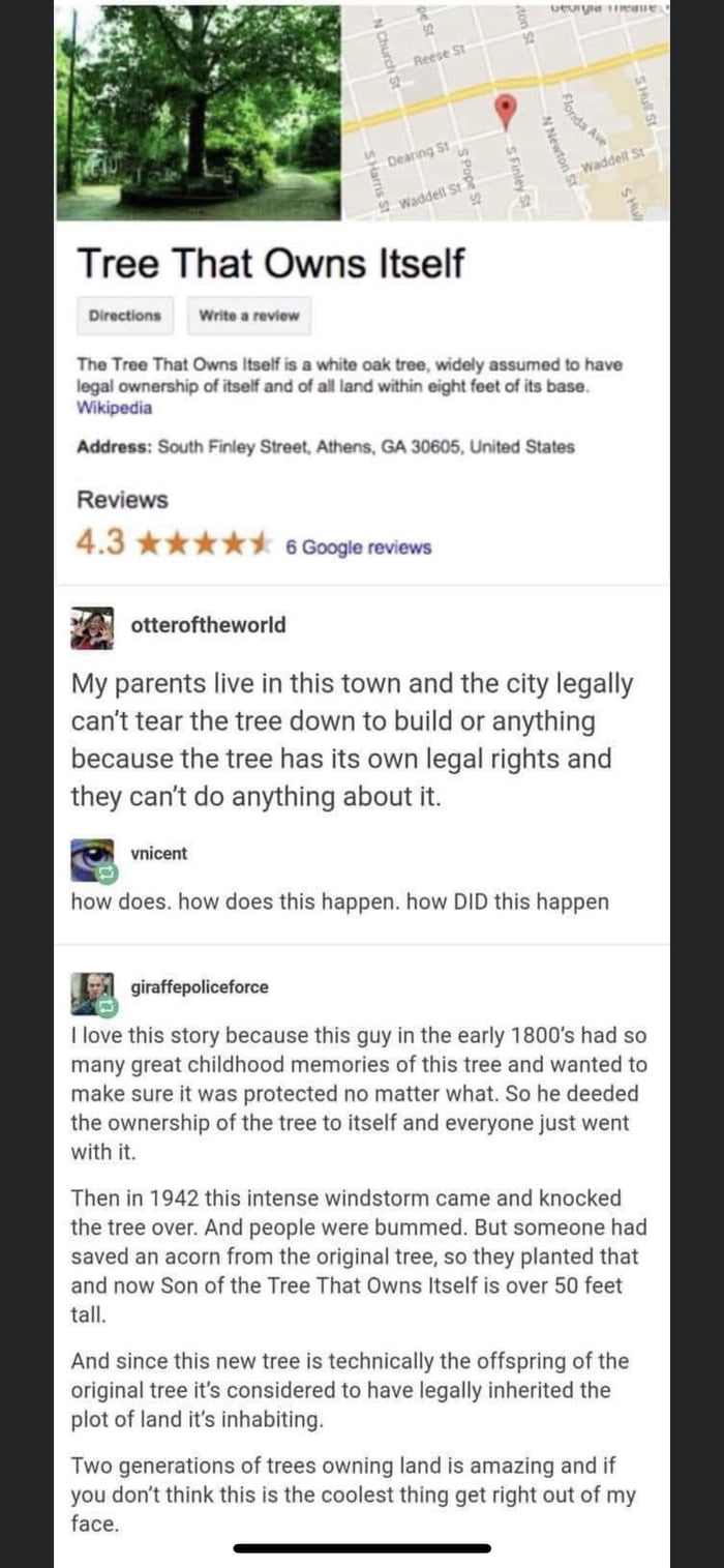 The Tree That Owns Itself has legal ownership of itself and of all land ...