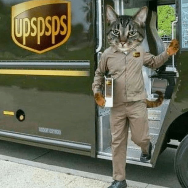 Take a paws and enjoy this other cat meme - 9GAG