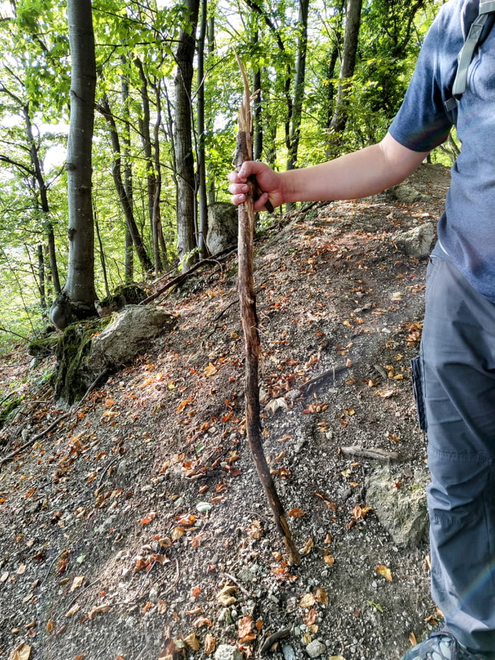 It ain't much, but it's an honest stick - 9GAG