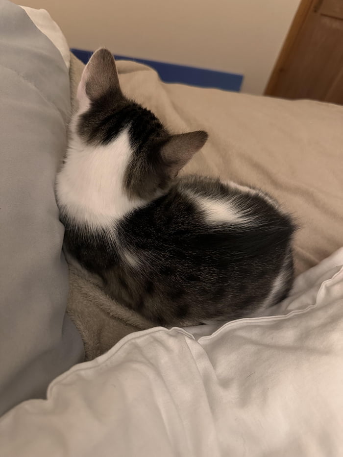 She’s very compact - 9GAG