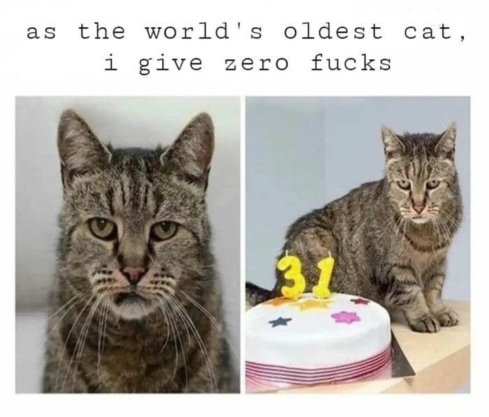 Beware of the most miserly creature in existence - 9GAG