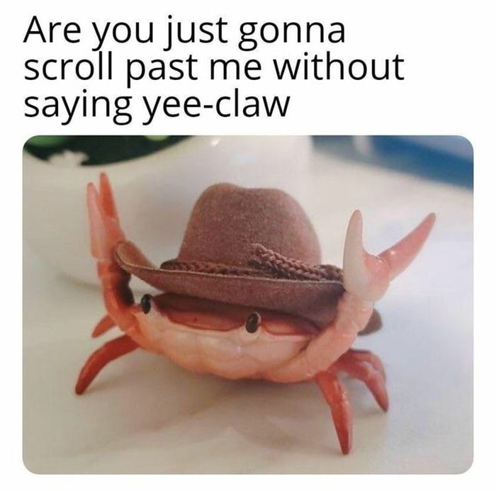 It’s Yee - Claw my dudes - 9GAG