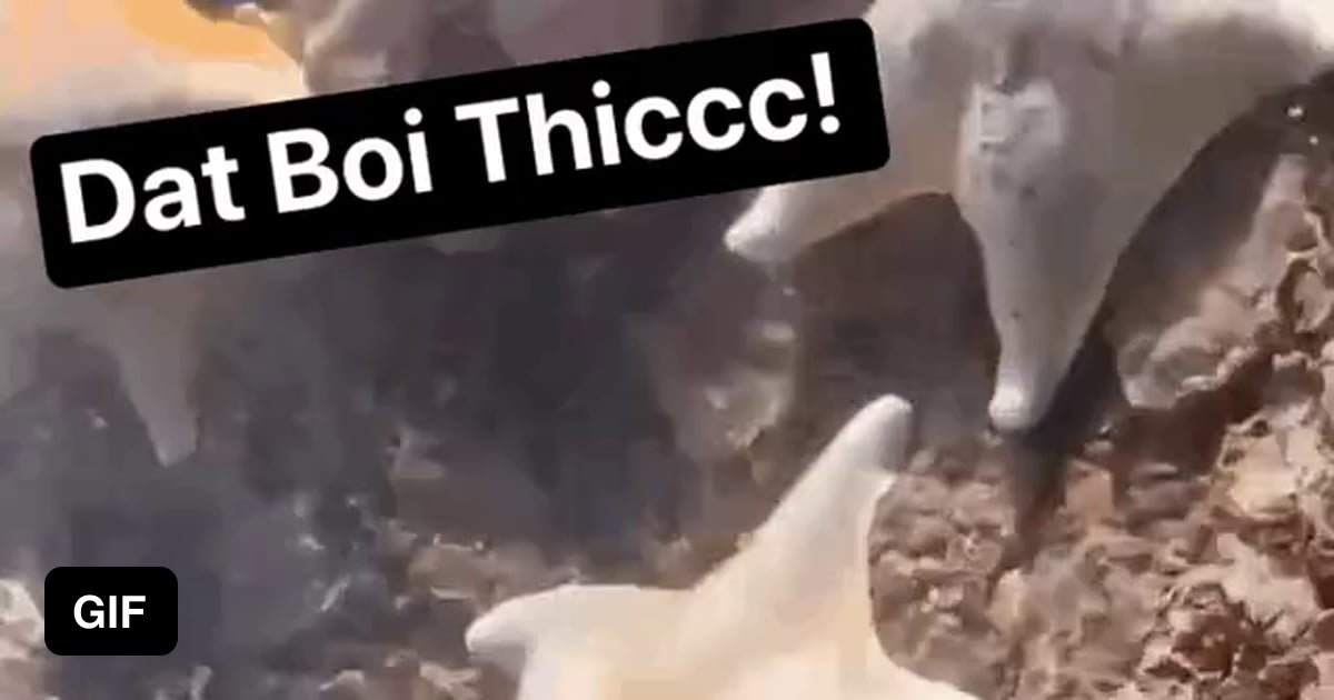 Patrick... is that you...?? - 9GAG