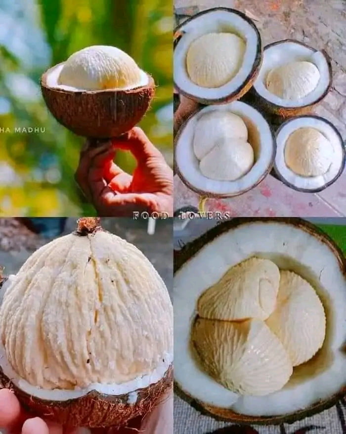 Eat healthy coconut - 9GAG