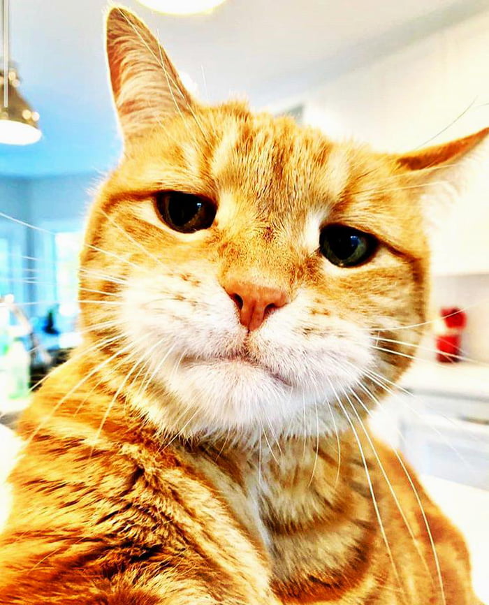 Selfie 9gag