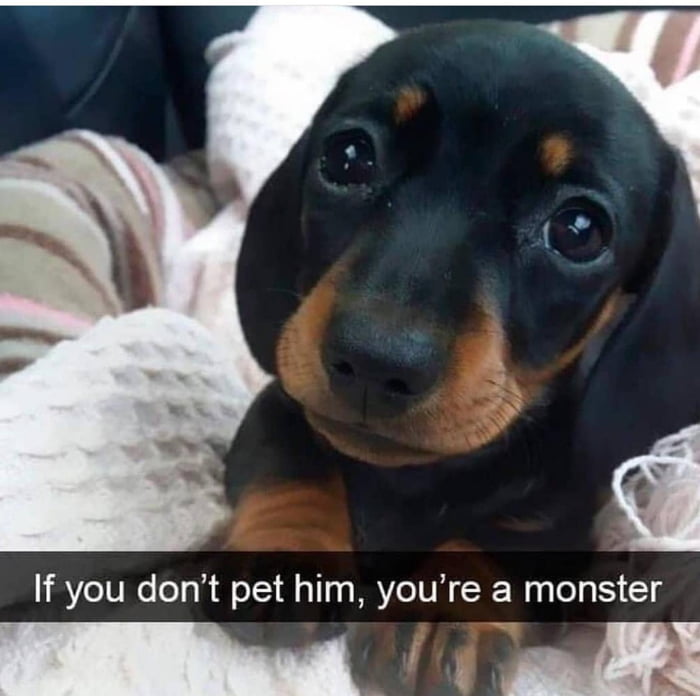 Angel 9gag