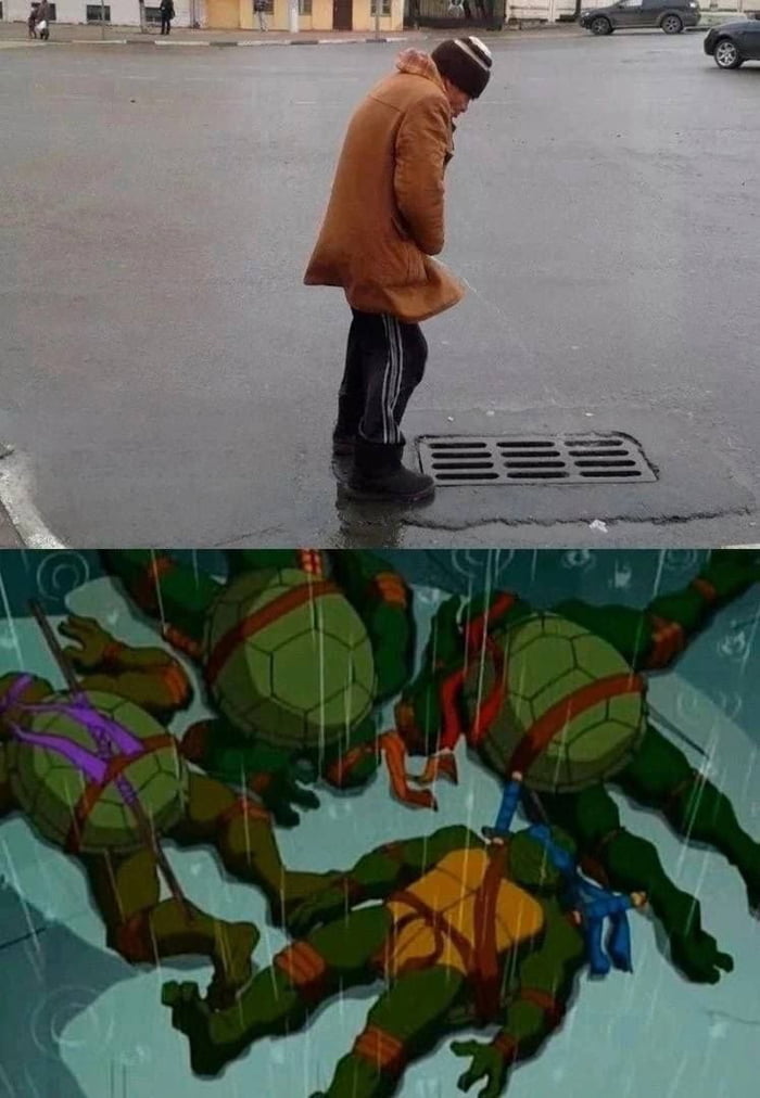 Rain for turtle - 9GAG