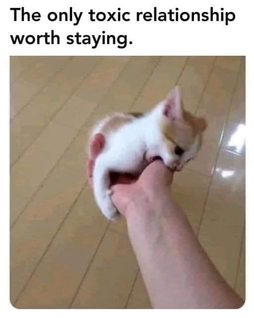 Kitty having fun :) - 9GAG