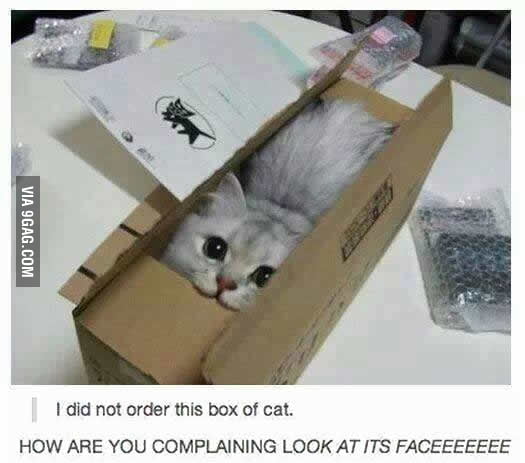 I did not order this - 9GAG