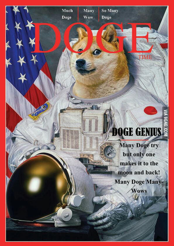 Doge TIME, Space Doge Many Wows - 9GAG