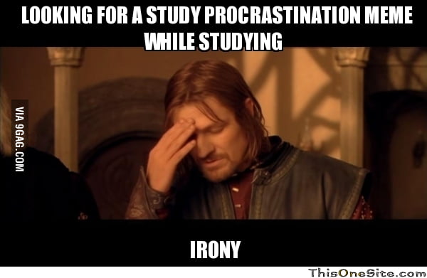 I googled "procrastination meme" while writing an essay. Not ...