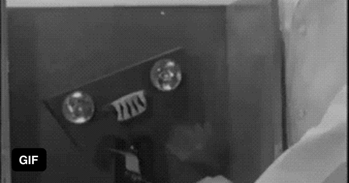Harry Harlow's monkeys and cloth mothers - 9GAG