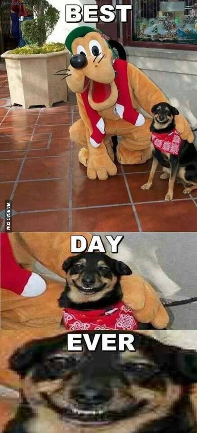 Best. Day. Ever. - 9GAG