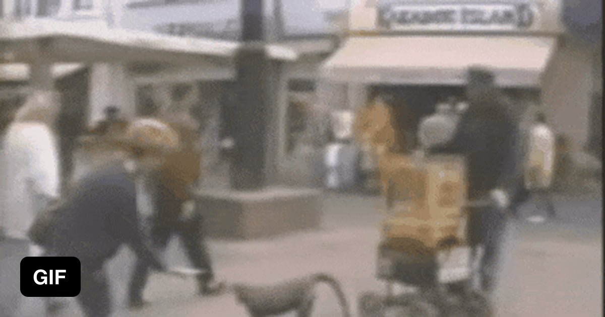 Monkey slap - 9GAG