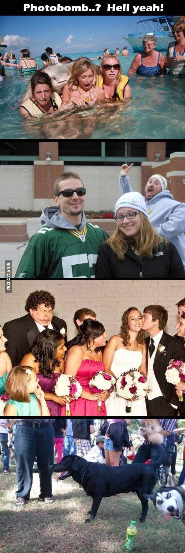 Photobomb? hell yeah! - 9GAG