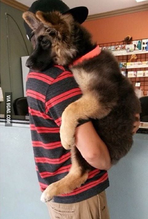 He Is A Big Baby 9GAG He Is A Big Baby 9GAG