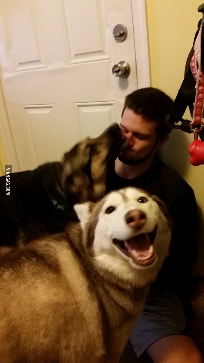I think my girlfriend's dogs were happy to see me - 9GAG